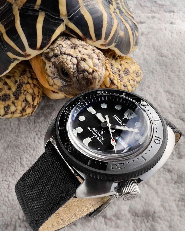 Bezel - SRP Turtle Coin Edge - Bead Blasted PVD Black - DLW WATCHES